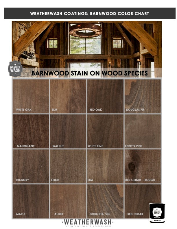 Brand Ambassador – WeatherWash Coatings