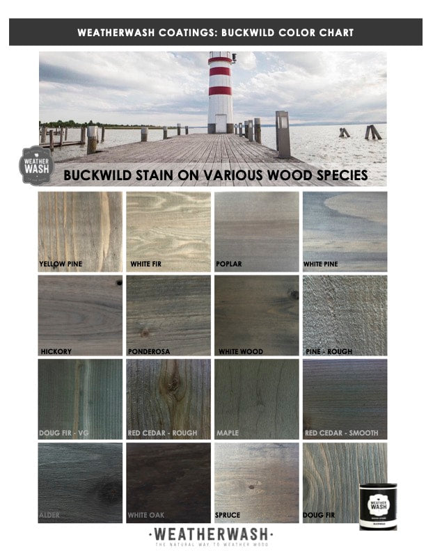 Brand Ambassador – WeatherWash Coatings