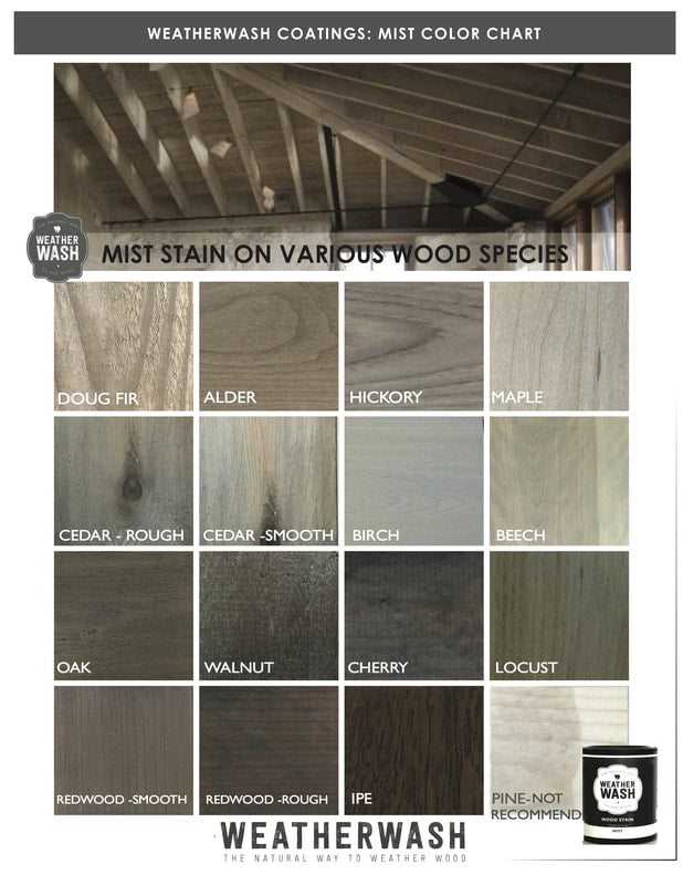 Brand Ambassador – WeatherWash Coatings