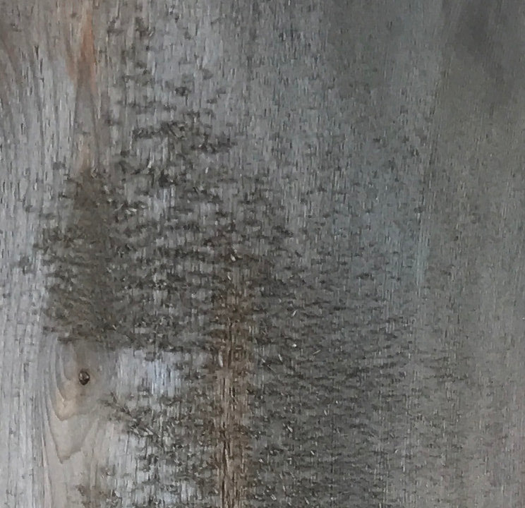 STAIN: STORM – WeatherWash Coatings